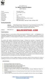 World Wide Fund WWF Pakistan Jobs 2024