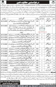 Health Department Usta Muhammad Jobs 2026 - Wedgies