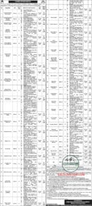 Sheikh Muhammad Bin Zayed Hospital Jobs 2025