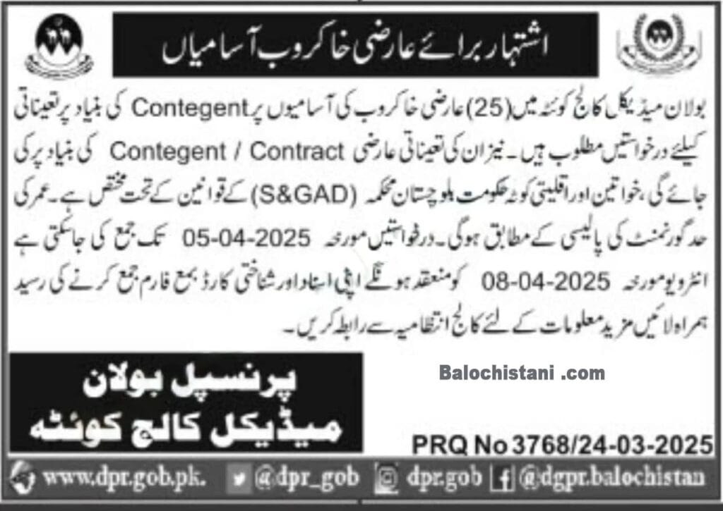 Bolan Medical College BMC Quetta Jobs 2025 - Wedgies