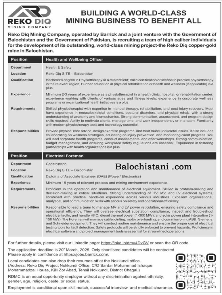 Reko Diq Jobs 2025 Online Apply - Latest Balochistan Jobs Alert 2025 ...