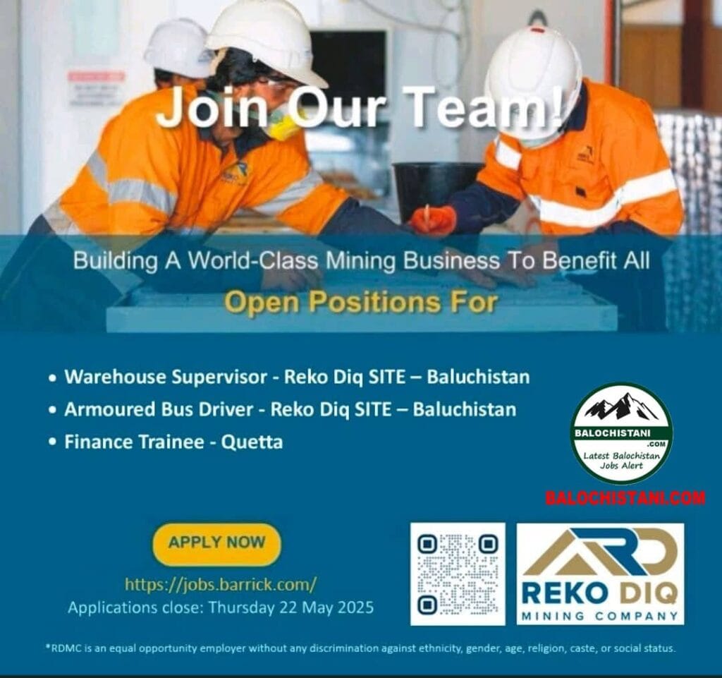 Reko Diq Gold Mining Company Jobs 2025 - Balochistani